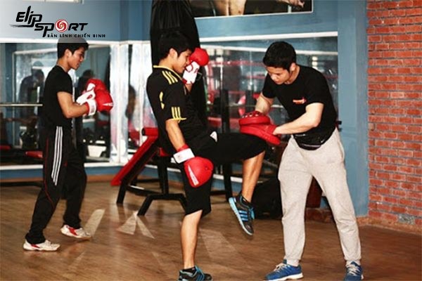 Tổng Hợp Địa Chỉ Học Boxing Bình Thạnh, Hồ Chí Minh