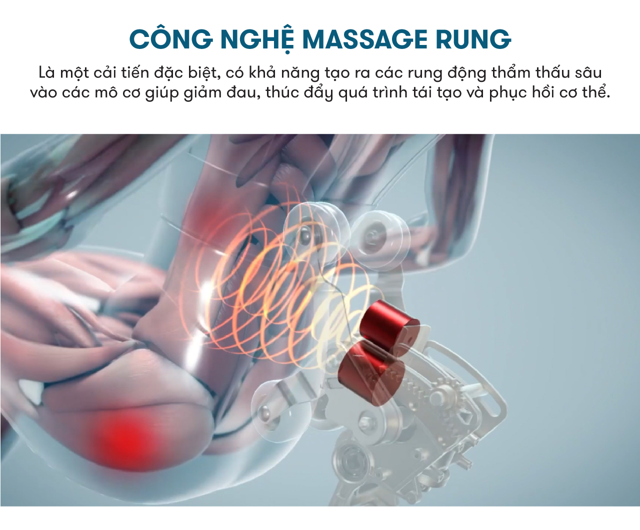Ghế Massage ELIP D7 (GDV AG) Chính Hãng GIÁ TỐT, Khuyến Mãi 11/2025 | Elipsport